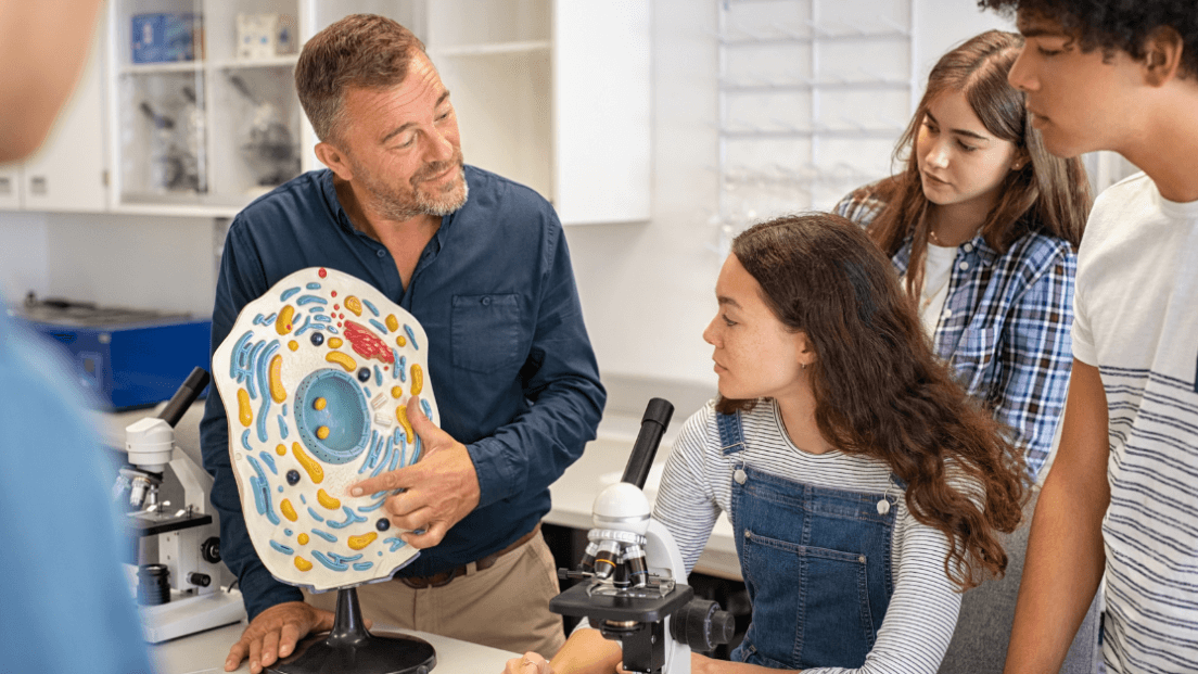 What are HQIM and RBIS? • Region 13's Blog